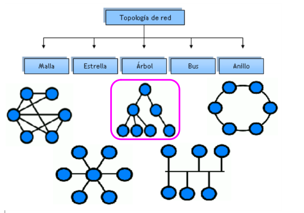 Transmisiones Asíncronas | Topología | Aula Virtual