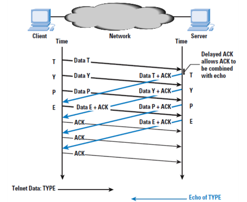 TCP: Silly window avoidance y Nagle | Aula Virtual